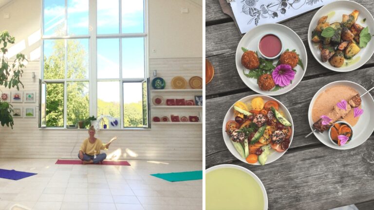Skogsbad och yoga i naturen - en retreat för inre frid - Ekoappen